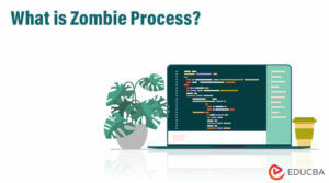 What is Zombie Process? | Find and Kill a Zombie Process on Linux