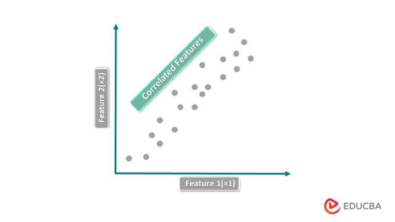 Assumptions of Linear Regression: Examples and Solutions