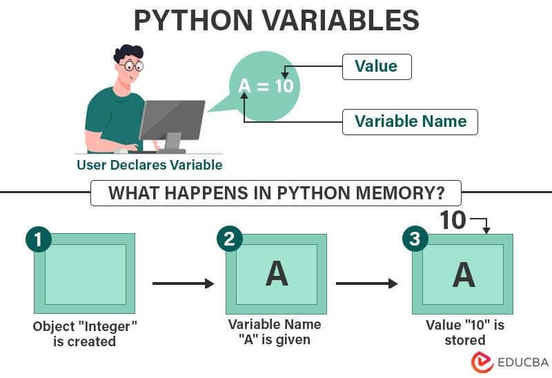 What Is A Variable
