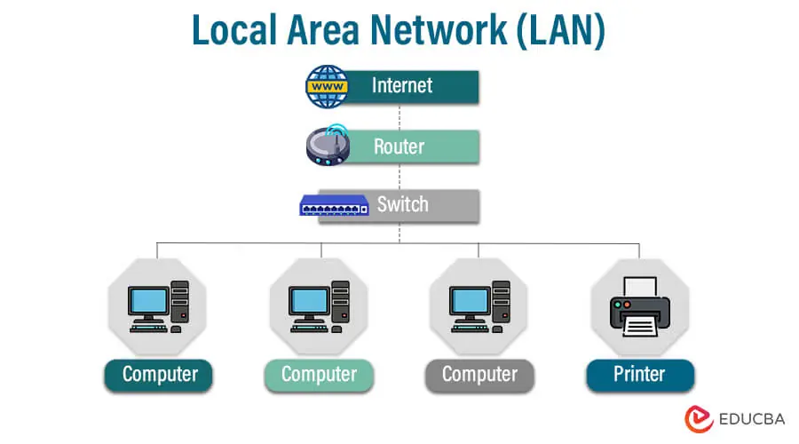 7 Types of Computer Network - Examples & Characteristics