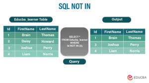 SQL NOT IN | Examples for Efficient Database Queries
