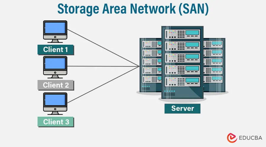 7 Types of Computer Network - Examples & Characteristics