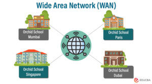 7 Types of Computer Network - Examples & Characteristics