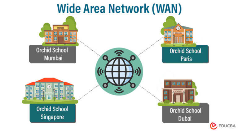 7 Types of Computer Network - Examples & Characteristics