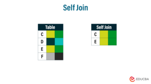 Different Types of Joins in SQL : With Practical Examples