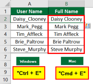 Flash Fill in Excel - How to Use? (Shortcut, Examples & Template)