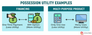 What is Economic Utility? | 4 Types + Examples | How to Measure?