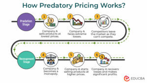 What is Predatory Pricing? Examples & Diagram | Vs. Limit Pricing