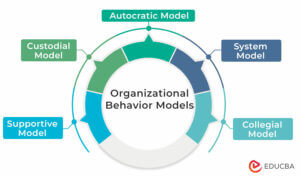 Organizational Behavior Model | Best 5 Organizational Behavior Model