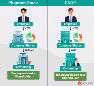 Phantom Stock | How it Works, Examples, Agreement, Types