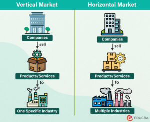 Vertical Market - Meaning, Types, Strategies & Real Examples
