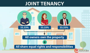Joint Tenancy - Meaning & Examples | Vs. Tenancy in Common