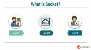 What is a Sockets : Uses, Types, Security and Applications