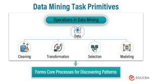 Data Mining Task Primitives: Functions and Examples