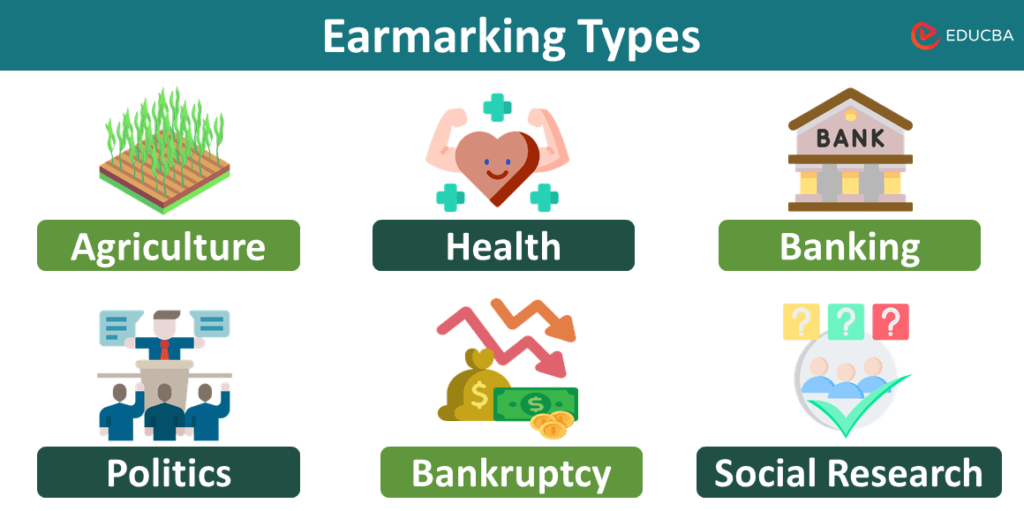 Earmarking of Funds - Meaning, Examples & Benefits | EDUCBA