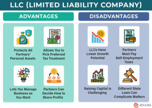 12 Advantages and Disadvantages of LLC (Limited Liability Company)