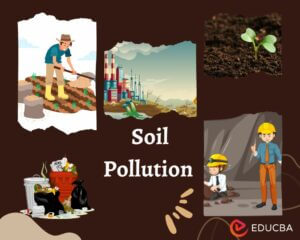 Soil Pollution Essay: Causes, Case Studies, Effects and Solutions