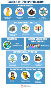 Overpopulation: Causes, Effects, Future & Solutions Essay