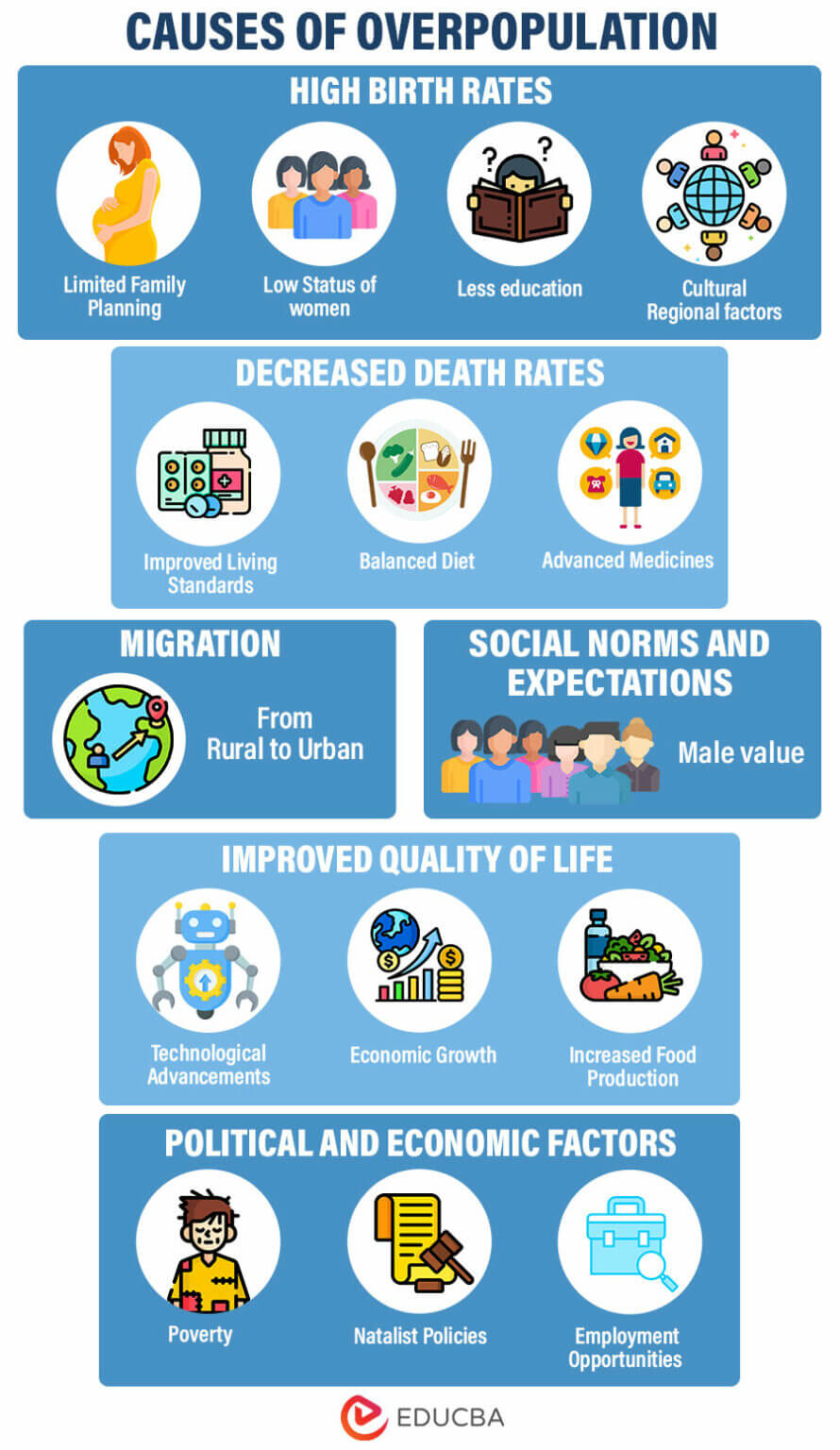 Overpopulation: Causes, Effects, Future & Solutions Essay
