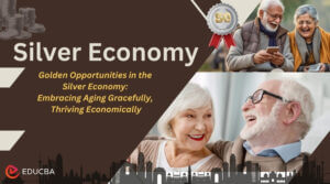Essay on Silver Economy: A Catalyst for Societal Growth