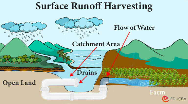 Essay on Rain Water Harvesting: Systems, solutions, and Implementation