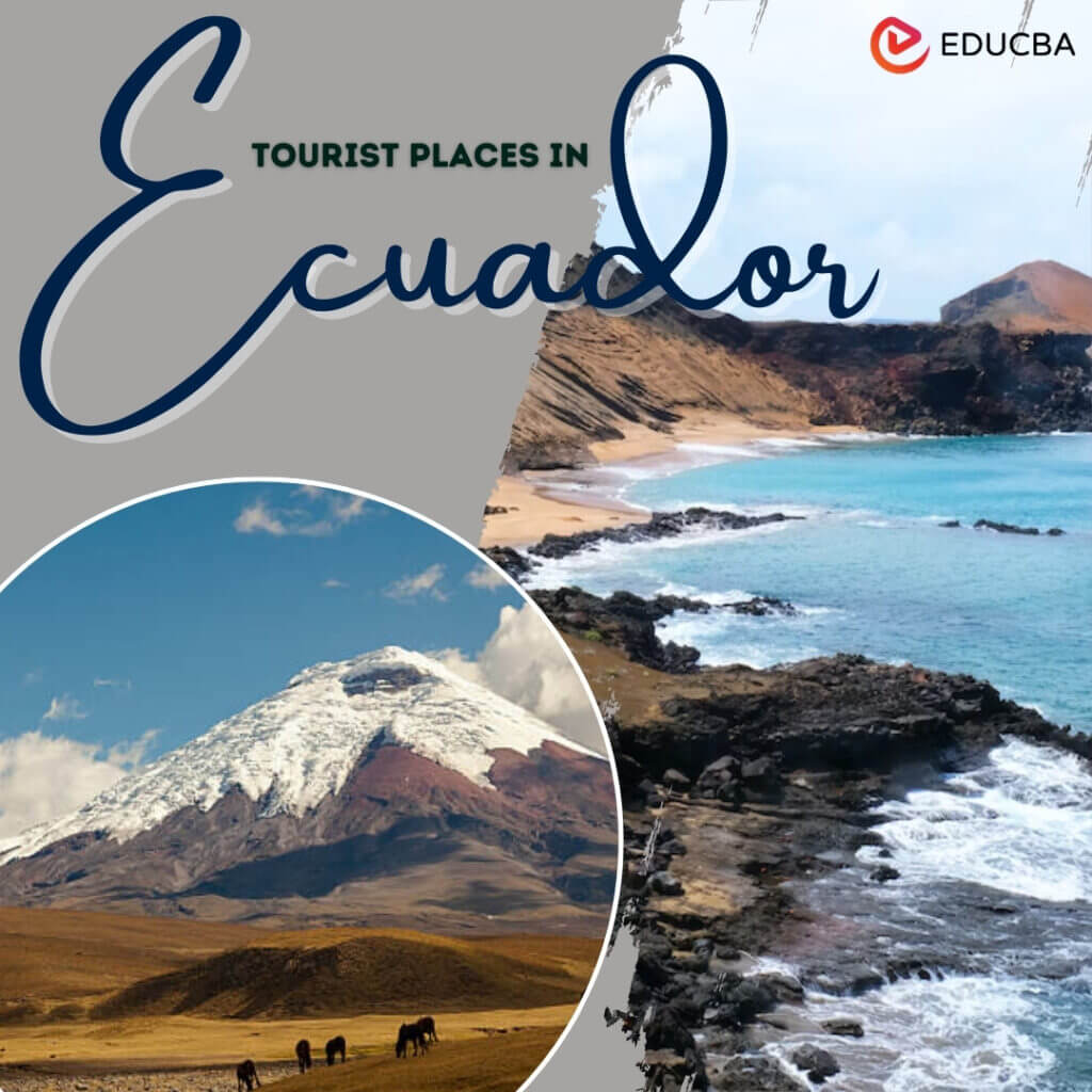 16 Places To Visit In Ecuador For A Exodus Travels