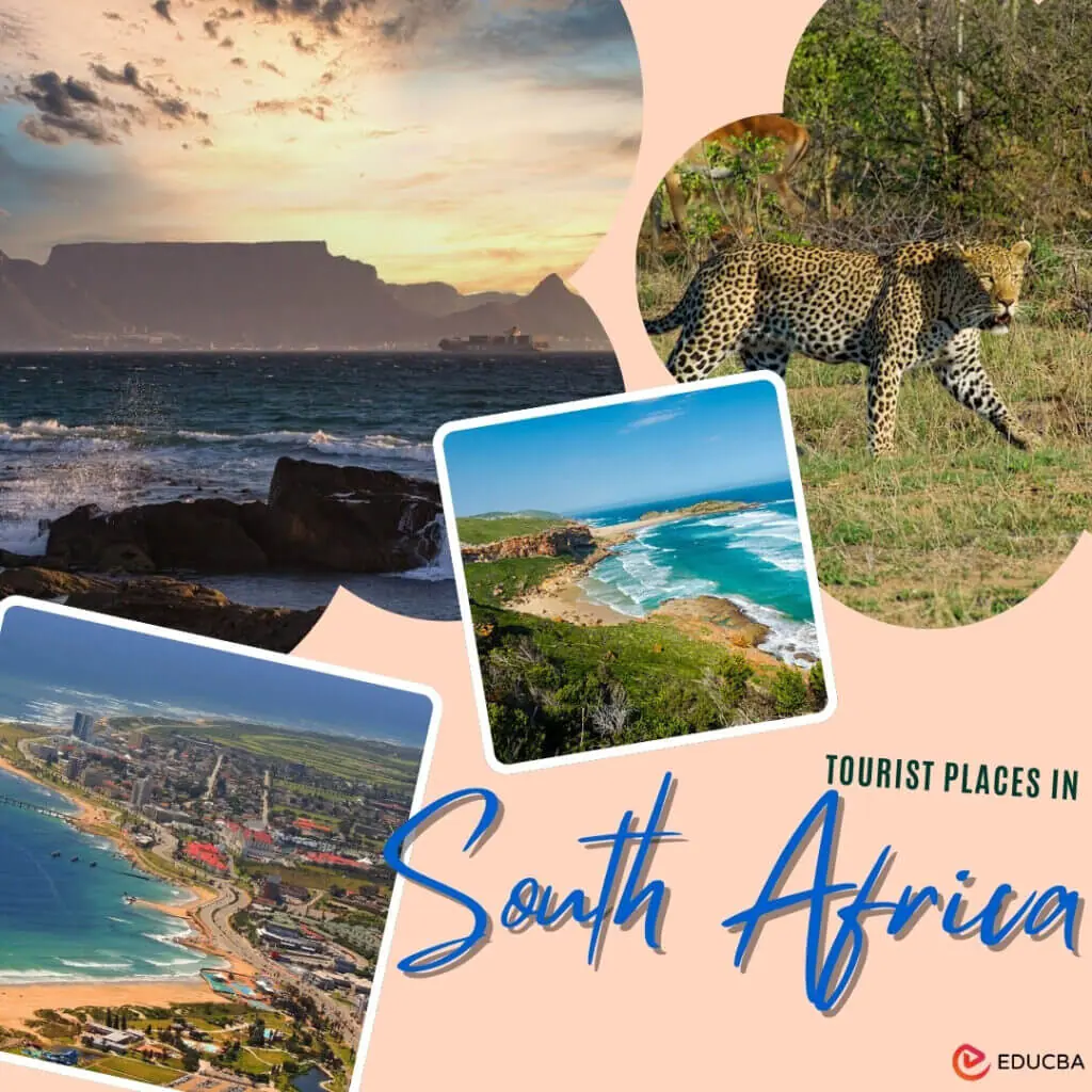 Top 16 Tourist Places in South Africa - See the full list here