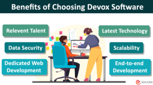 Benefits of Choosing Devox Software for Your Custom Web Application Development