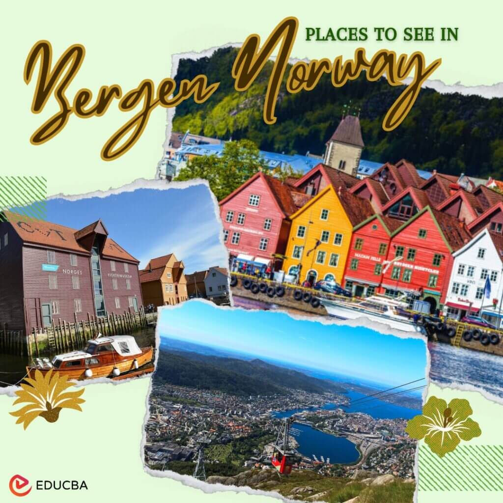 Discovering the Charm of Bergen: A Guide to Must-Visit Places