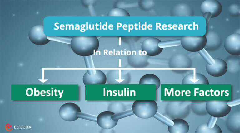 What is Semaglutide Peptide in Relation to Obesity, Insulin & More?