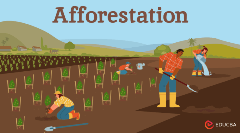 Afforestation Essay for Students and Professionals | EDUCBA