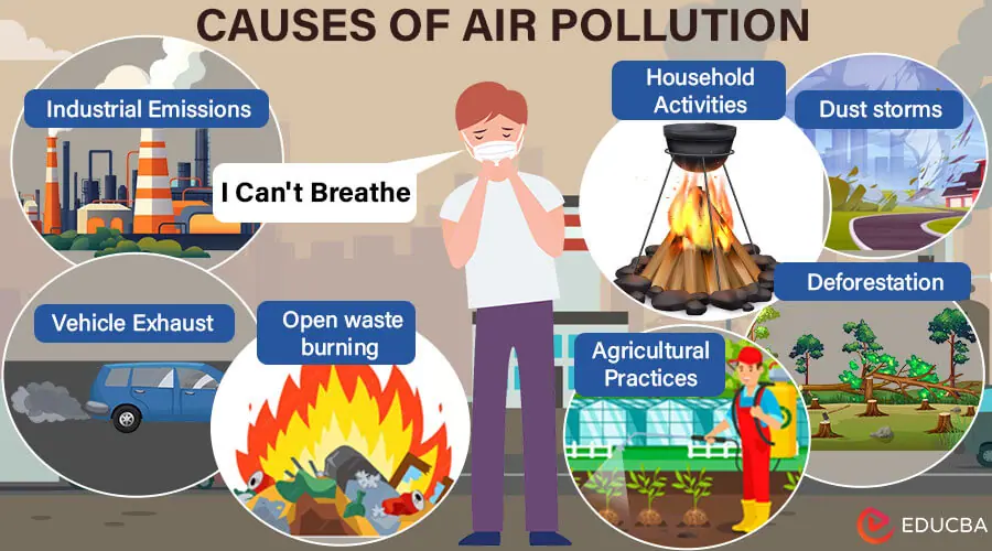 Essay on Air Pollution for Students and Professional