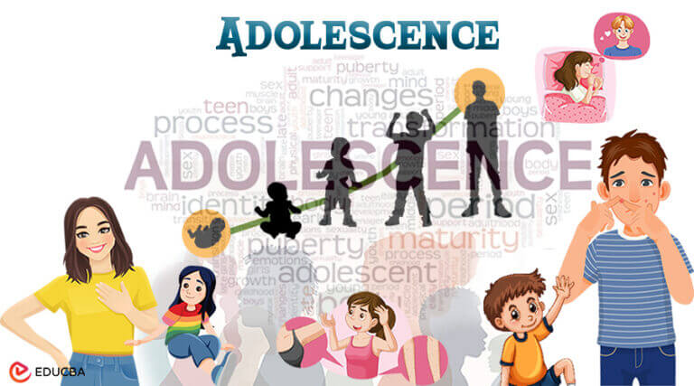 Essay on Adolescence: Physical, Technology & Educational