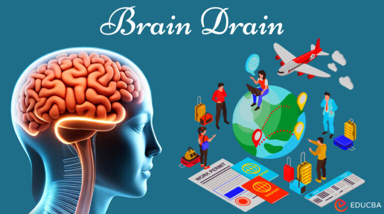 Essay on Brain Drain: A Global Challenge and Opportunity
