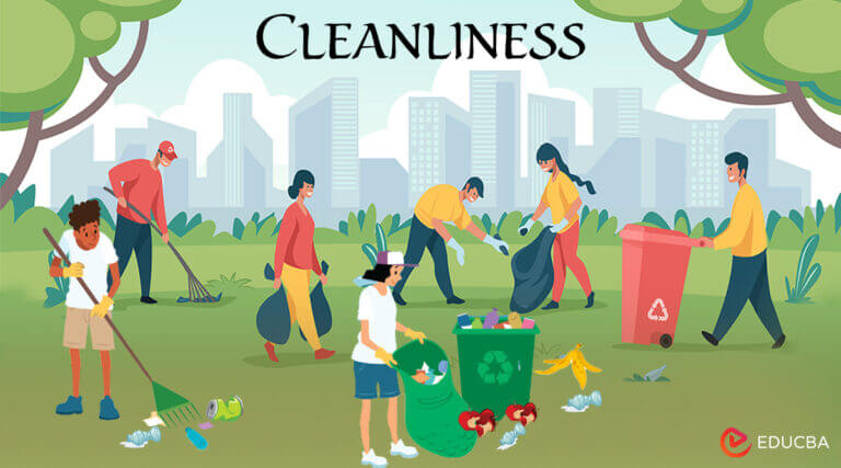 Essay on Cleanliness For Students and Professional