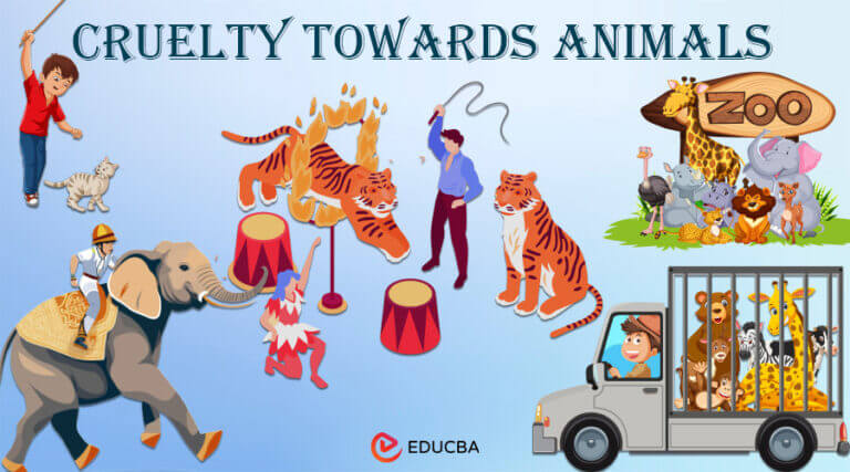 Essay on Cruelty Towards Animals: A Global Imperative