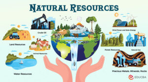 Essay on Natural Resources for Students and Professional