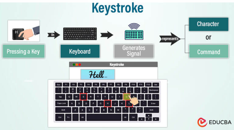 Keystroke: Meaning, Types, Anatomy & Shortcut Commands