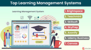 Top Learning Management Systems for Training and Development (2024)