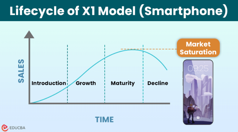 What is Market Saturation? | Examples + Complete Overview