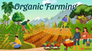 Essay on Organic Farming: Evolution, Types, Tools & Studies