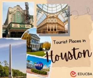 10 Best Places to Visit in the Houston USA [2024]
