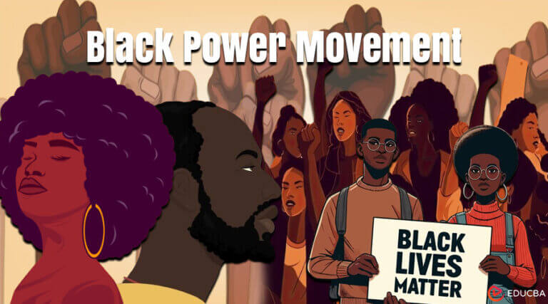 Essay on Black Power Movement: A Revolutionary Era