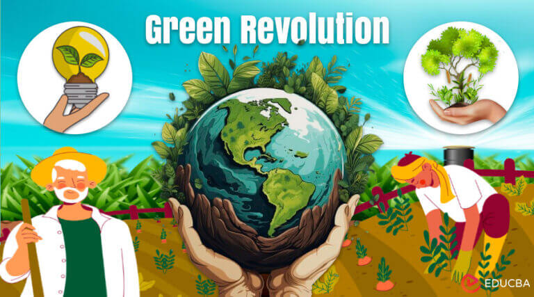 Essay on Green Revolution: Transforming Global Agriculture