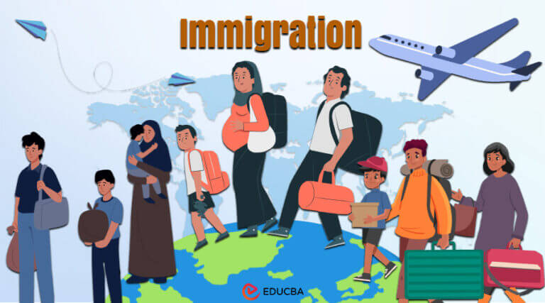 Essay on Immigration: The Resettlement Process of People