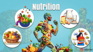 Importance of Nutrition in Daily Life (Essay) | EDUCBA