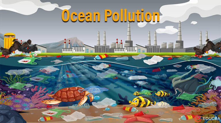 Essay on Ocean Pollution: Remarkable Solutions Revealed