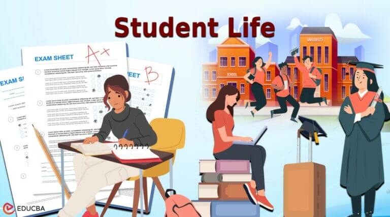 Essay on Student Life | Academic Goals, Limits, Tactics