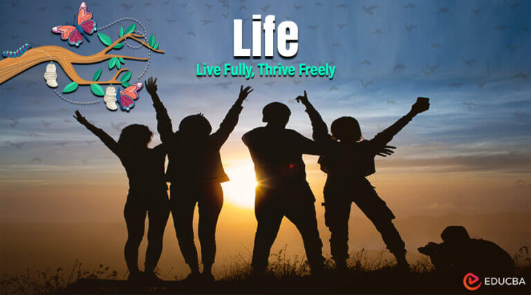 Essay on Life: Free Ways to Improve Your Destiny
