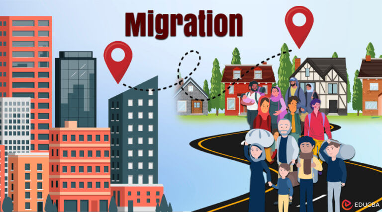 Essay on Migration: Insights into the Movement of People
